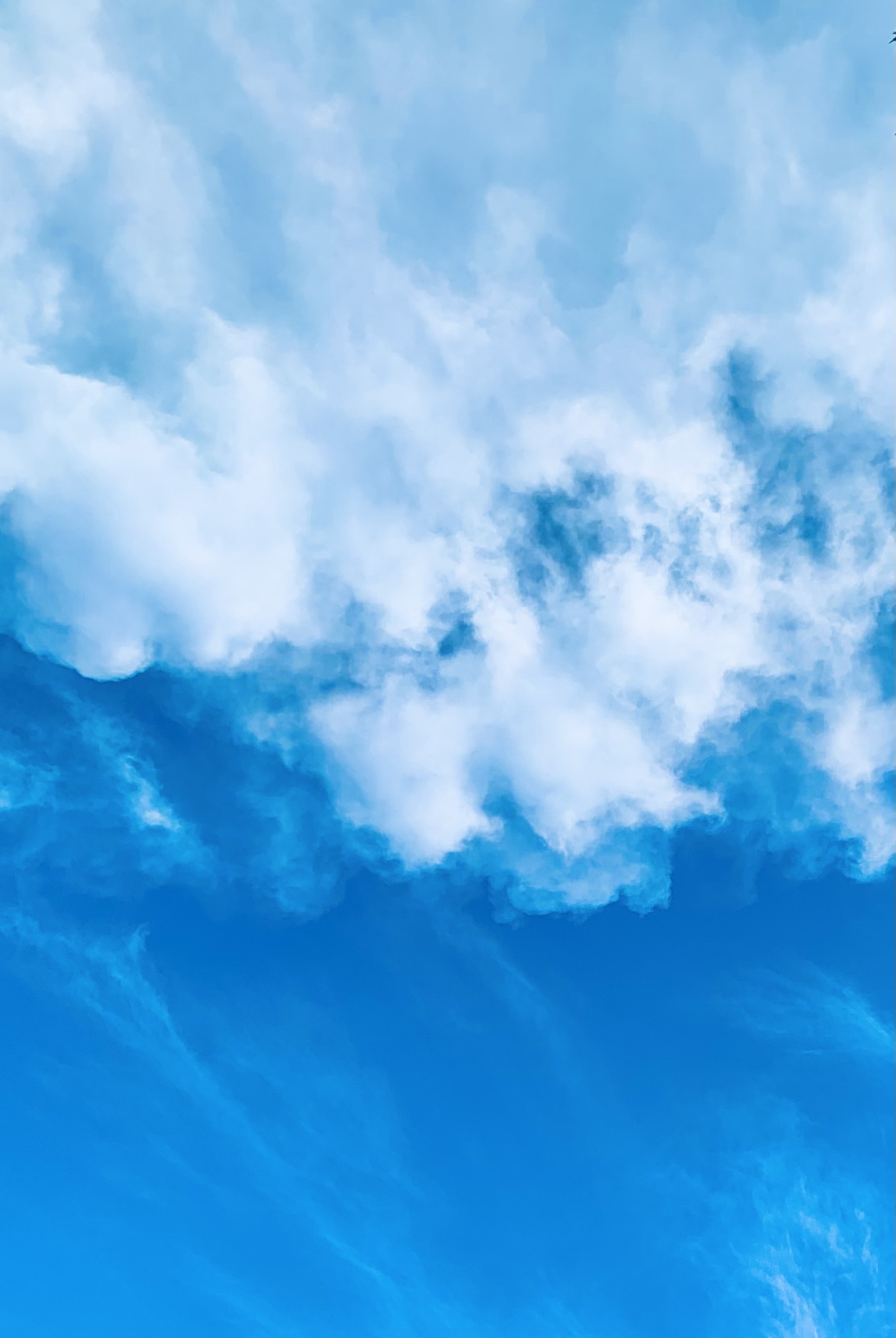 Cloud Portrait – Daniel W. Polk