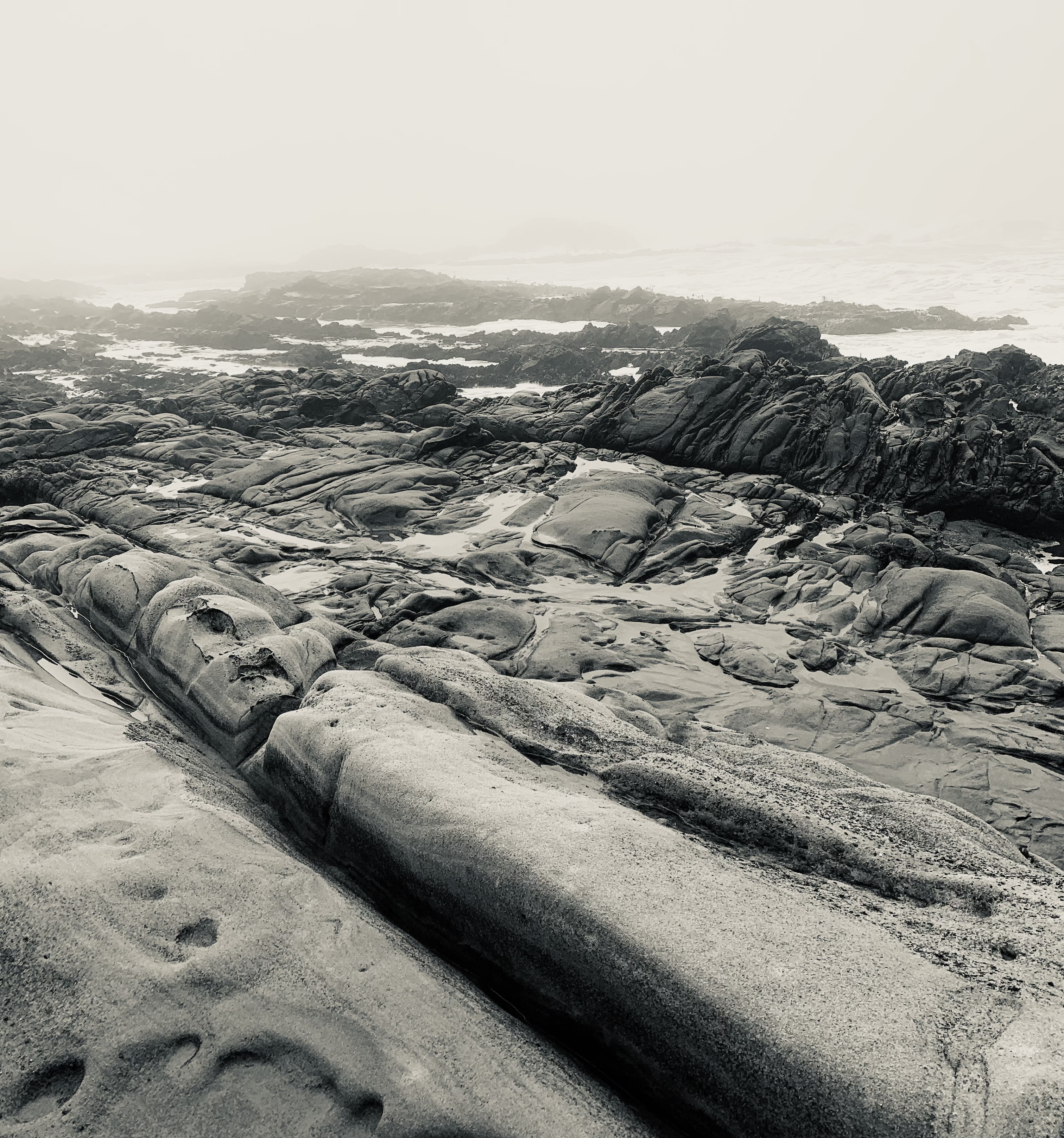 Pebble Beach at Bean Hollow – Daniel W. Polk