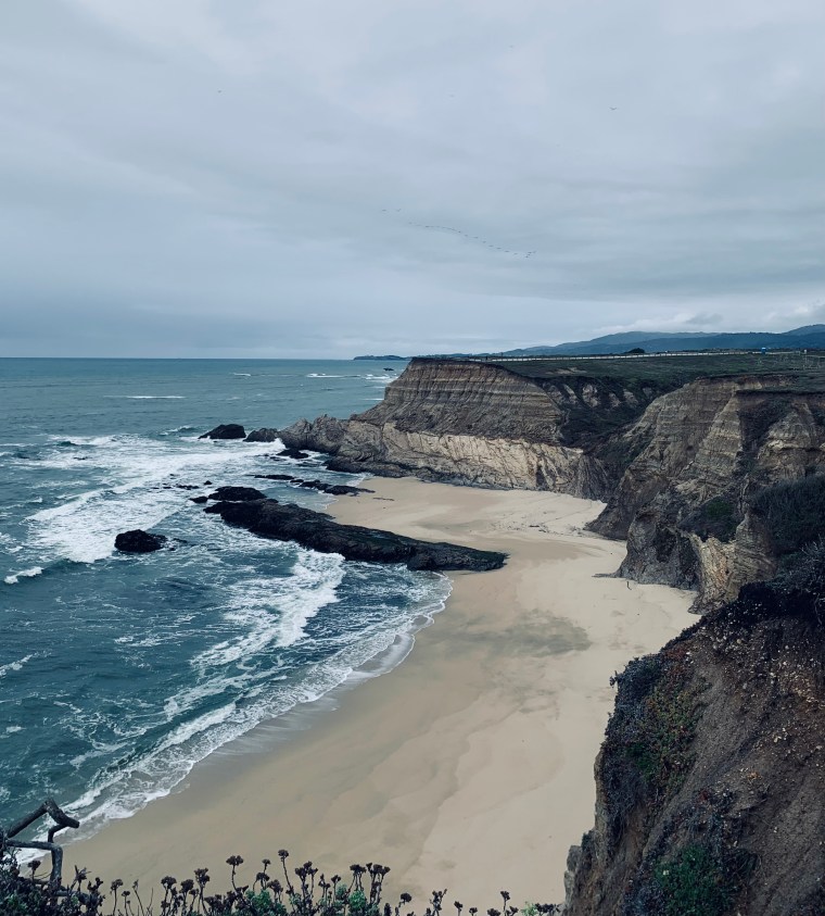 Cowell Ranch Beach – Daniel W. Polk